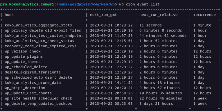 Replacing WP Cron with a server cronjob | Koko Analytics